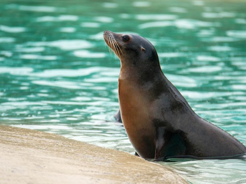 One of the UK’s top animal parks | Blackpool Zoo