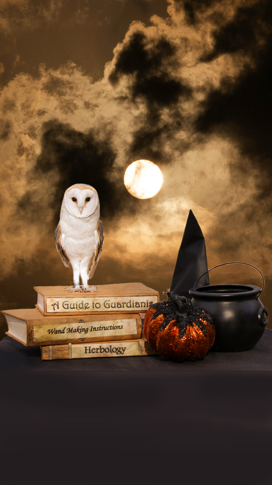 One of the UK’s top animal parks | Blackpool Zoo