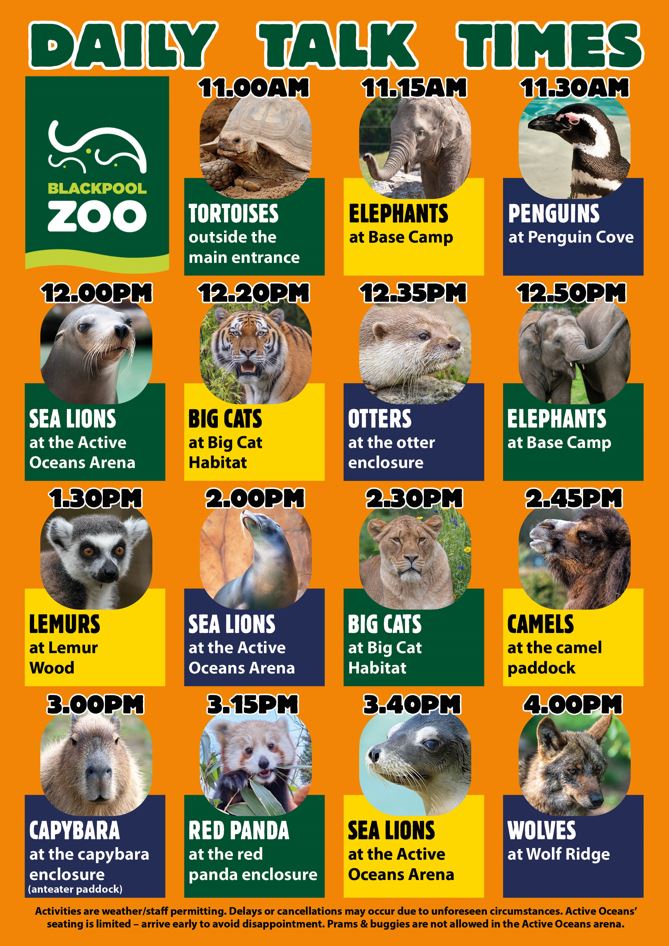 Daily Talks | Blackpool Zoo